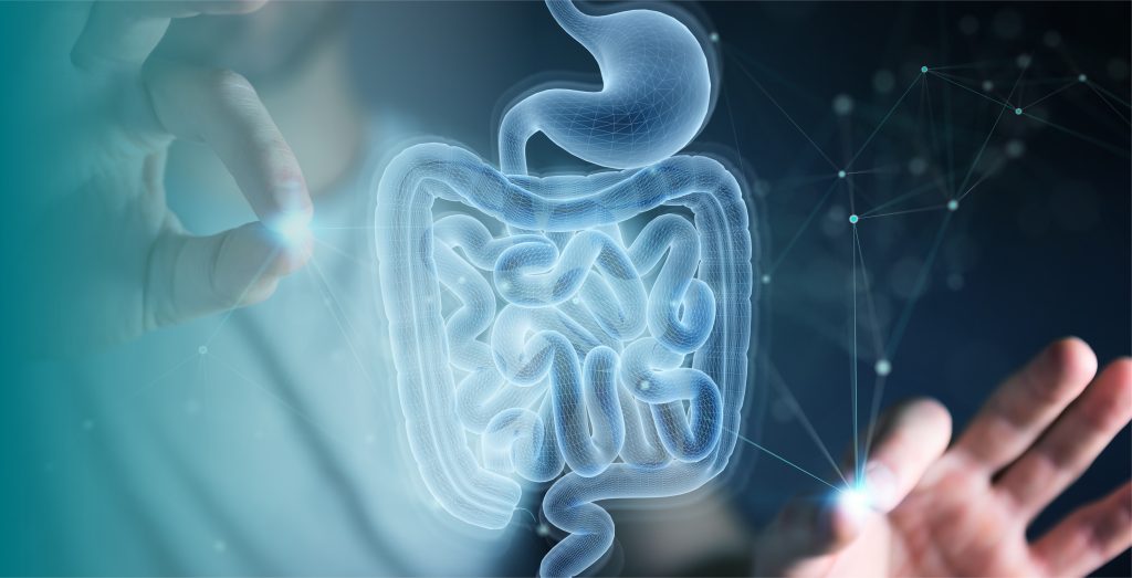 IMOpro ENTERO: alleato dell’intestino